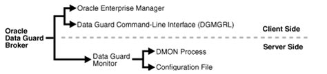 Overview Oracle Data Guard Broker Including Its Functions And Components