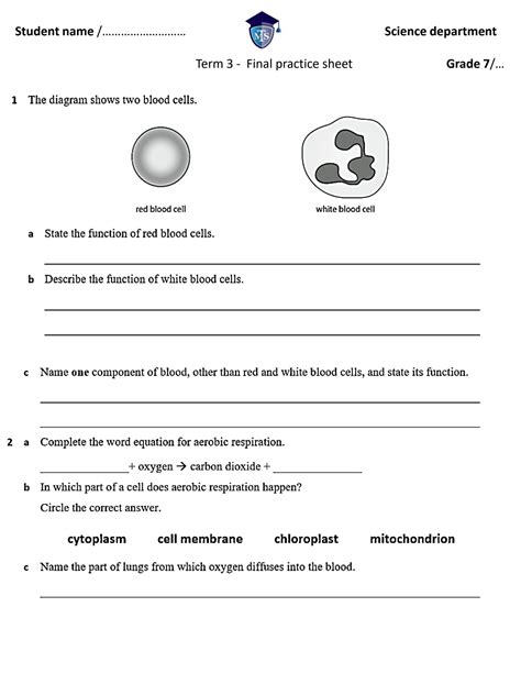 SOLUTION Final Practice Sheet Part Studypool