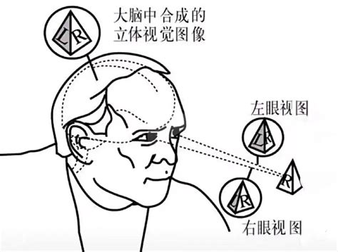 席卷全球的户外裸眼3D巨屏 竟是一场视觉骗局 知乎