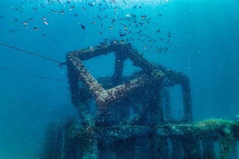 Artificial Reefs An Answer To Save Marine Biodiversity Maritimes Crimes