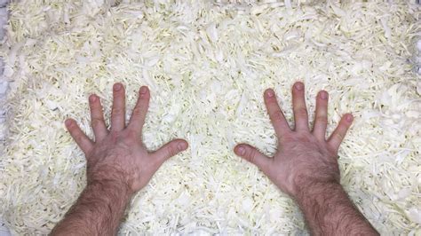 Ферментированная КАПУСТА БЕЗ САХАРА БЕЗ Соли БЕЗ УКСУСА Квашеная капуста Youtube