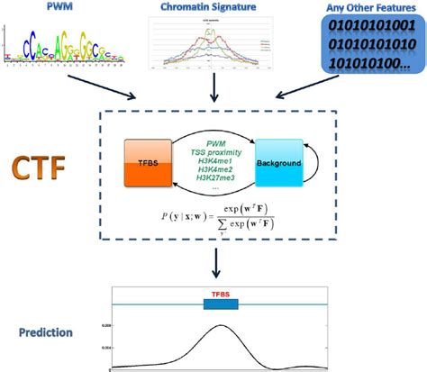 system diagram of ctf this figure showed the system diagram of ctf download scientific