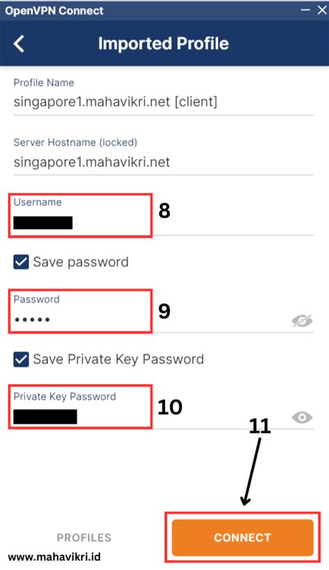 Cara Pakai Openvpn Di Windows Mahavikri Digital