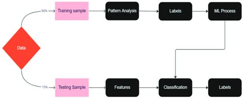 Simulations Experimental Approach And Methodology Download