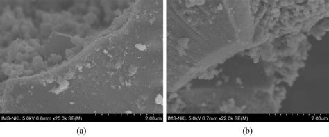 SEM Images Of A Gr TiO And B Gr TiO SiO Download Scientific Diagram