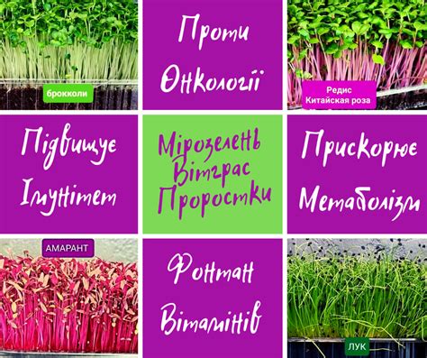 Ногоон навч Ногоон навч харшилдаггүй эко бүтээгдэхүүн