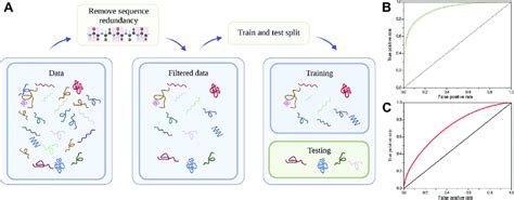 Filter On Sequence Redundancy A Homologous Proteins May End Up In