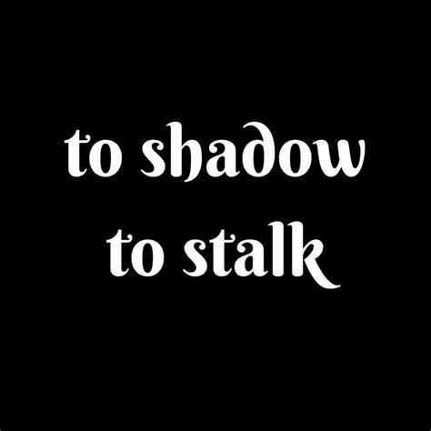 To Shadow To Stalk English Words Photo