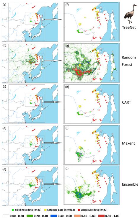Why Choose Random Forest To Predict Rare Species Distribution With Few Samples In Large