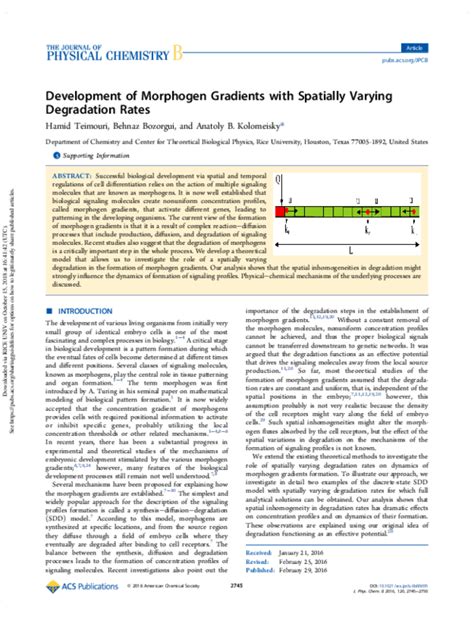Pdf Development Of Morphogen Gradients With Spatially Varying Degradation Rates