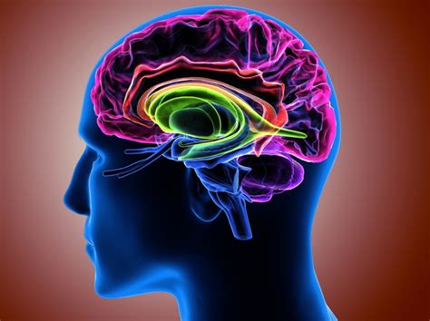 Segmentation Of Tumor Using Pca Based Modified Fuzzy C Means Algorithms On Mr Brain Images