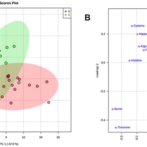 Pca Score Scatter Plot A And Pca Loading Scatter Plot B For The 1 H