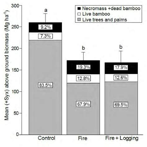 Conceptual Model Of The Early Forest Fire Detection System With Use Of Download Scientific