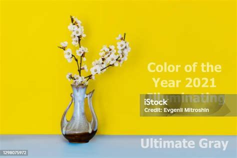 노란색과 회색 2021 년 색상 트렌드 얼티밋 그레이와 일루미네이션 올해의 색상 2021 팬톤 175104 및 130647 레위니옹 섬에 대한 스톡 사진 및 기타 이미지