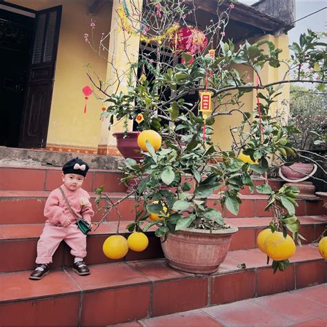 Pubg ⭐ Gặp Vòng Bo Quá Khắc Nghiệt Team 🇻🇳 Việt Nam Dừng Chân ở Top 9 Với Chỉ 2 Kills Của 🇻🇳