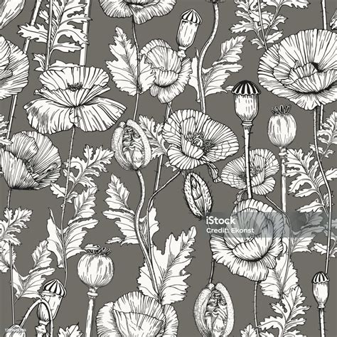 손으로 그린 양귀비 흑백 식물 잉크 드로잉이 있는 플로럴 원한 패턴 0명에 대한 스톡 벡터 아트 및 기타 이미지 0명 그리기 꽃 나무 Istock