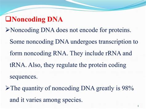 Coding Andnon Coding Dna Molecular Biologypdf