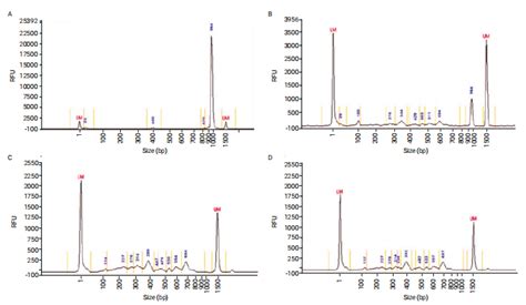 二代测序（ngs）质控要点解析
