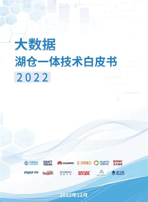 《大数据湖仓一体技术白皮书》发布：打破数据孤岛壁垒，引领高效数据价值变革 墨天轮