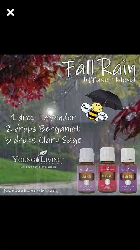 Pin By Katie Berger On Yl Diffuser Blends Diffuser Blends Oil Diffuser Oils