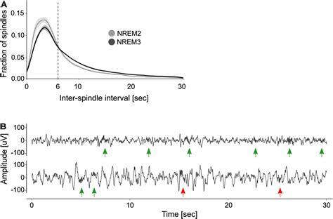 Sleep Spindle Eeg Frequency