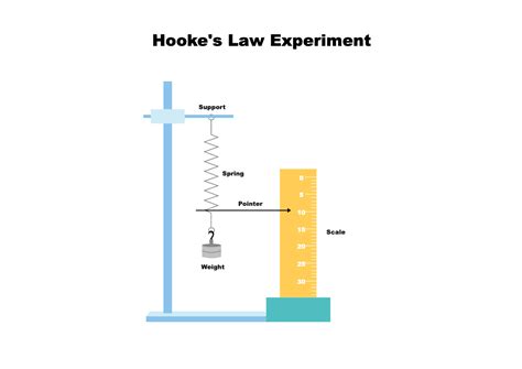 hooke s law analysis at ronald pearsall blog