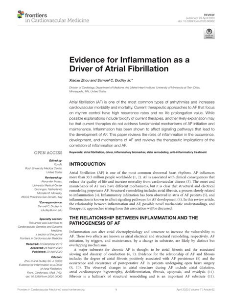 Pdf Evidence For Inflammation As A Driver Of Atrial Fibrillation