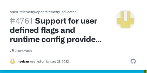 Support For User Defined Flags And Runtime Config Provider Based On