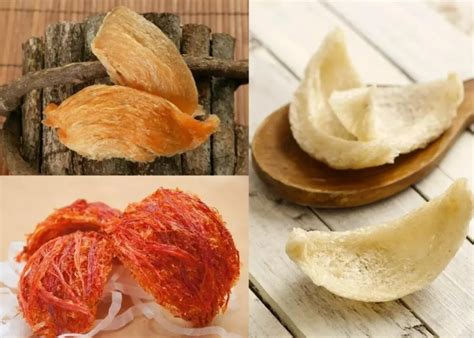 What Is Edible Swiftlet Birds Nest And How To Classification Kimmy Farm