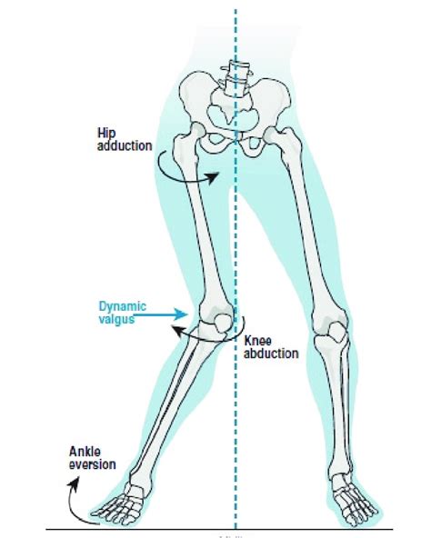 Hip Abduction And Adduction Movement Rom Exercise 46 Off