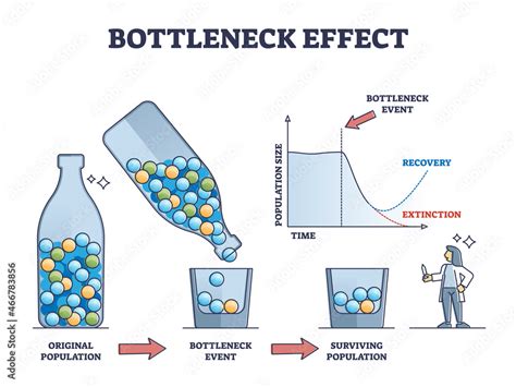 Bottleneck Effect Graph