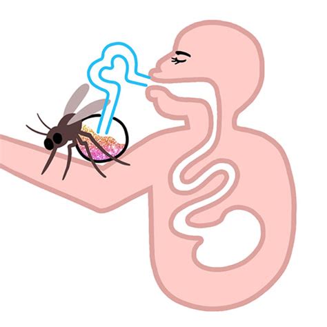 Please Help Tricky Story Asmr For Pc Mac Windows 111087 Free Download