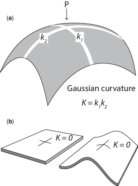 a the total gaussian curvature k at any point p on a folded surface