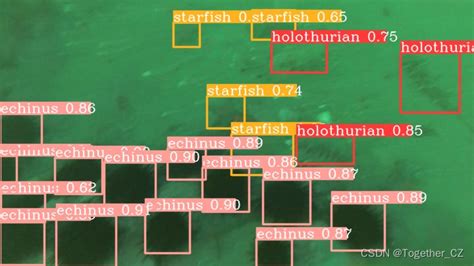 探索水下低光照图像检测性能，基于yolov6全系列【nsml】参数模型开发构建海底生物检测识别分析系统yolov6sml Csdn博客