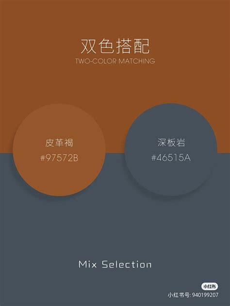 高级配色 审美提升 色彩搭配 平面设计 复古配色 推荐灵感 色卡分享 视觉艺术 神仙配色 转载自小红书 侵删致歉 可转采