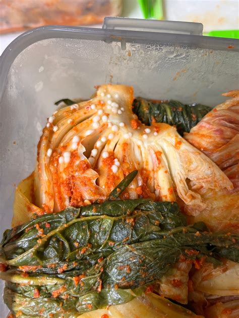 김치 곰팡이 인가요 지식in