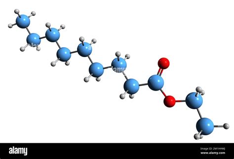 3d Image Of Ethyl Nonanoate Skeletal Formula Molecular Chemical Structure Of Wine Ether
