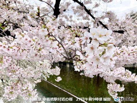 広く満開ラッシュも 東京の桜は早くも散り始め お花見できる日は 気象予報士 中川 裕美子 2023年03月27日 日本気象協会 Tenki Jp