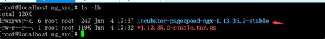 使用宝塔面板nginx添加第三方pagespeed 模块来提升web性能 宝塔nginx性能调整 csdn博客