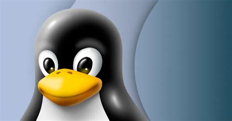 New Linux Flaw Wall Vulnerability Poses Security Risk