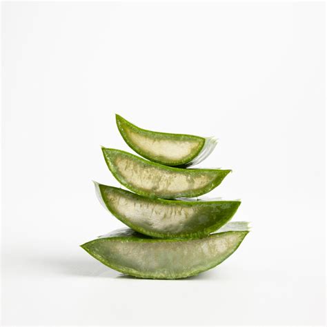 알로에 베라 뷰티 개념의 클로즈업보기 무료 사진