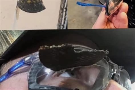 ادم‌های خوش‌شانس تستچی