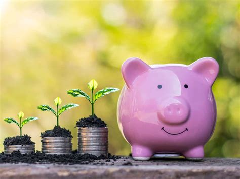 Sip Vs Ppf For Rs 1 25 000 Year Investment Which Can Create Higher Corpus In 15 Years Zee