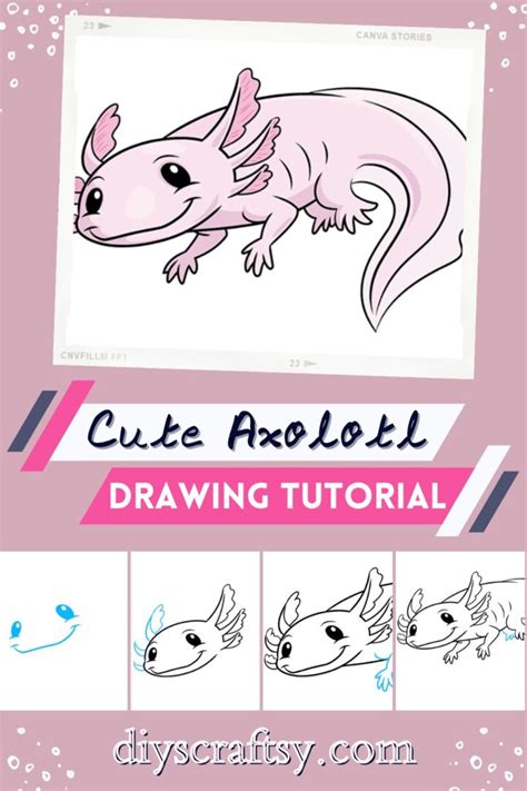 12 Axolotl Drawing Ideas Step By Step Guide DIYsCraftsy