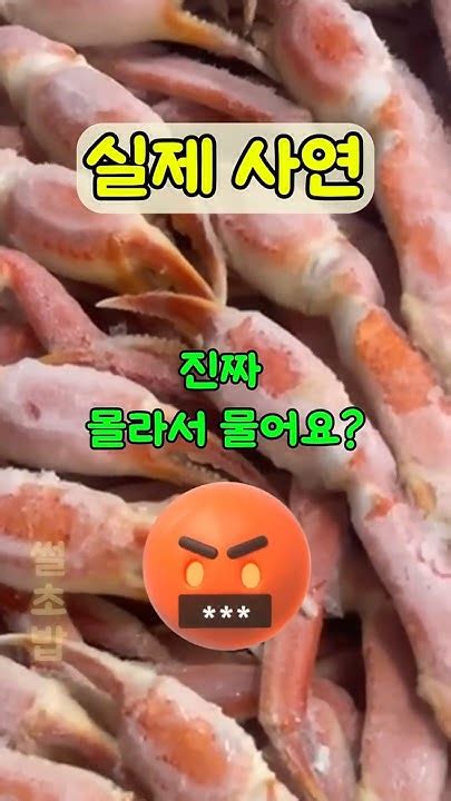 음식쓰레기를 돈주고 판매한 파렴치한 가게 혼쭐내줬습니다 Youtube