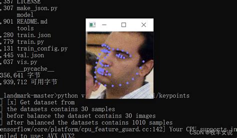 人脸关键点检测face landmark csdn博客