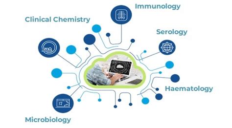 Laboratory Information System Dedalus Global