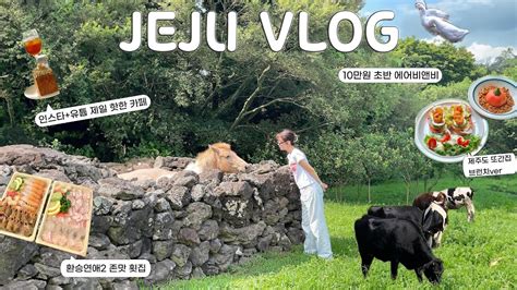 Ep 08 제주도는 왜 안 질리는걸까 📸 🐄 제주 Vlog 1 적당히 여유롭고 알차다 🫧 Youtube