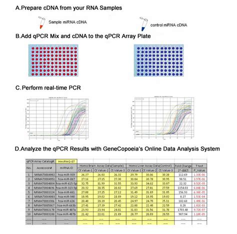 Mirna Qpcr Arrays 易锦生物