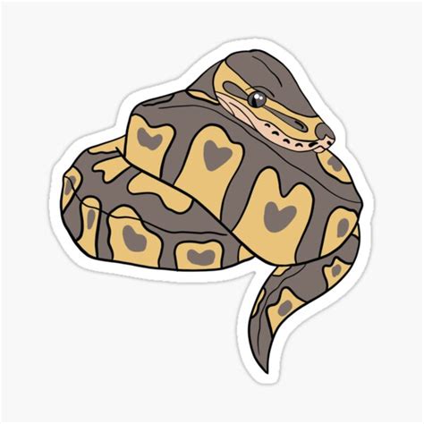 The Pewter Morph Royal Python Pattern ‘bodhi Sticker For Sale By